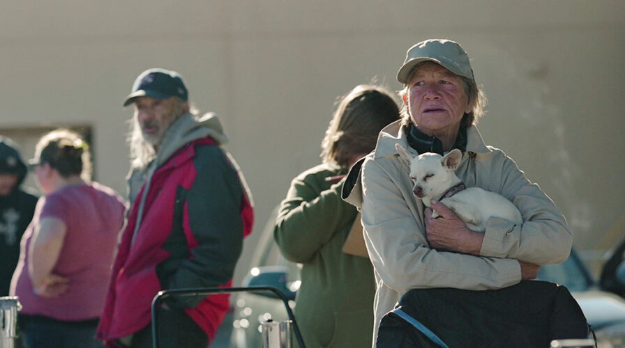 Feeding Pets of the Homeless Secures $90,000 in Grants To Help Pets in ...